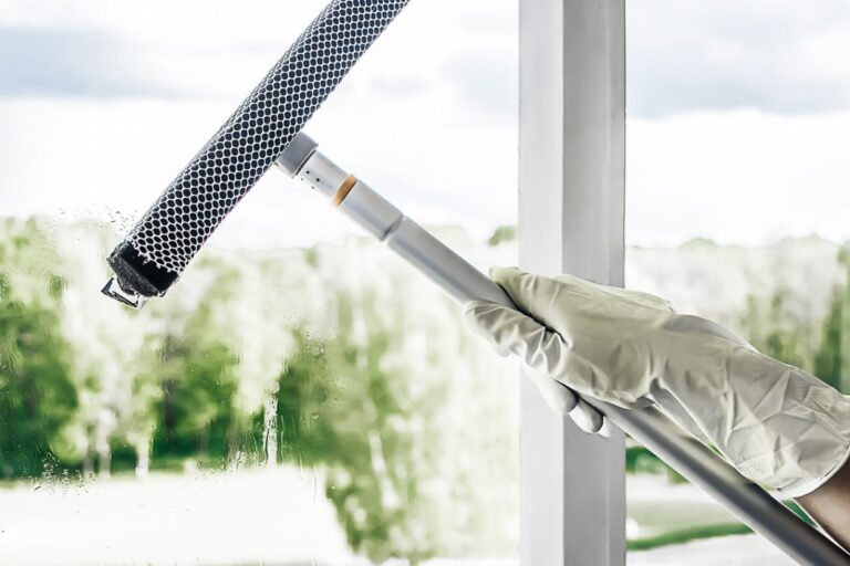 Window Cleaning – Mike The Cleaner